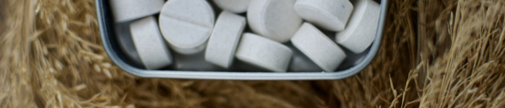 CBG Focus Mints – The Complete Guide To CBG – Acrely Farms